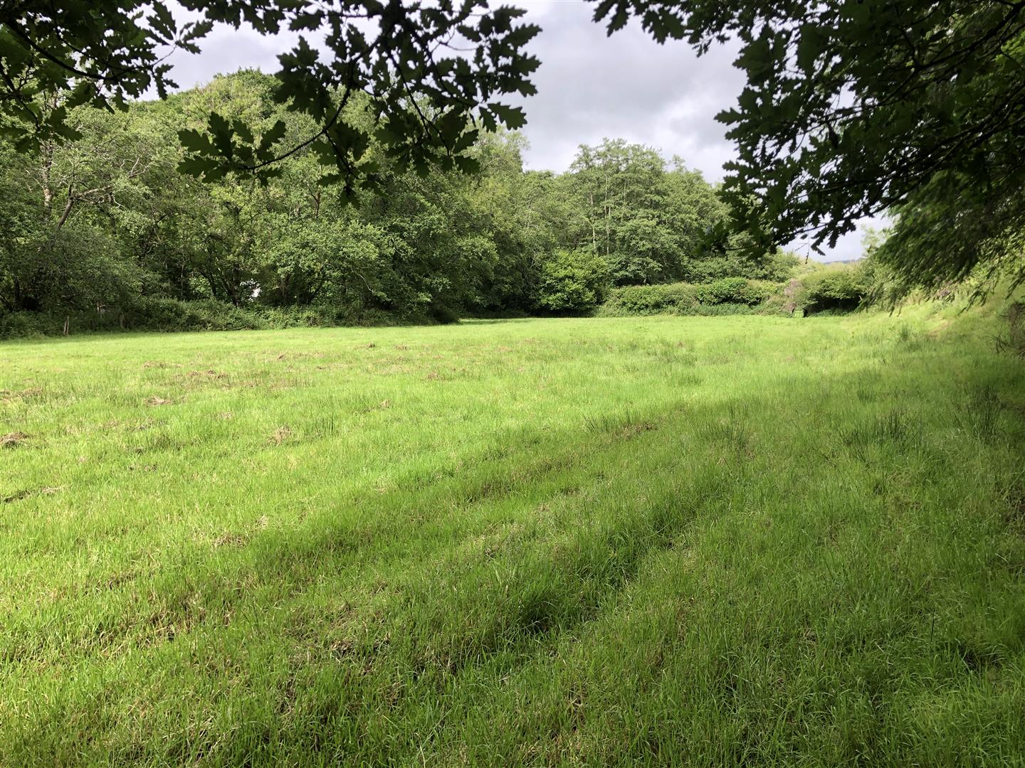 These are two enclosures of riverside pasture paddocks 7.5 Acres ...