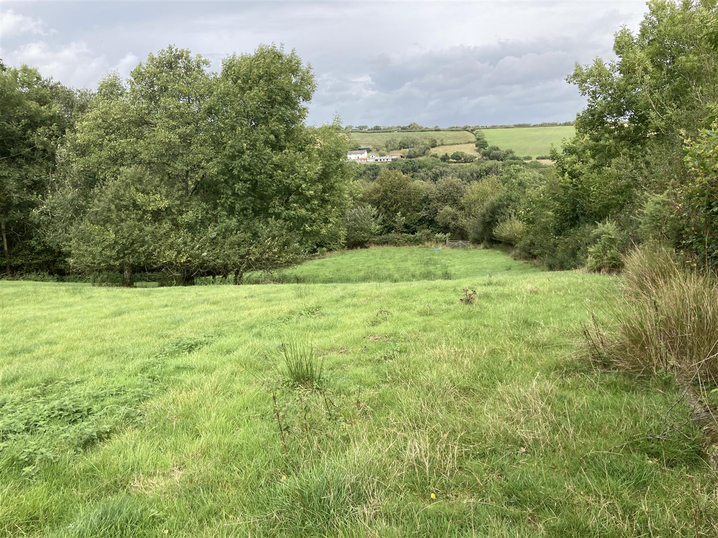 A FREEHOLD BLOCK OF 8.25 ACRES OF GENTLY SLOPING SHELTERED AGRICULTURAL ...