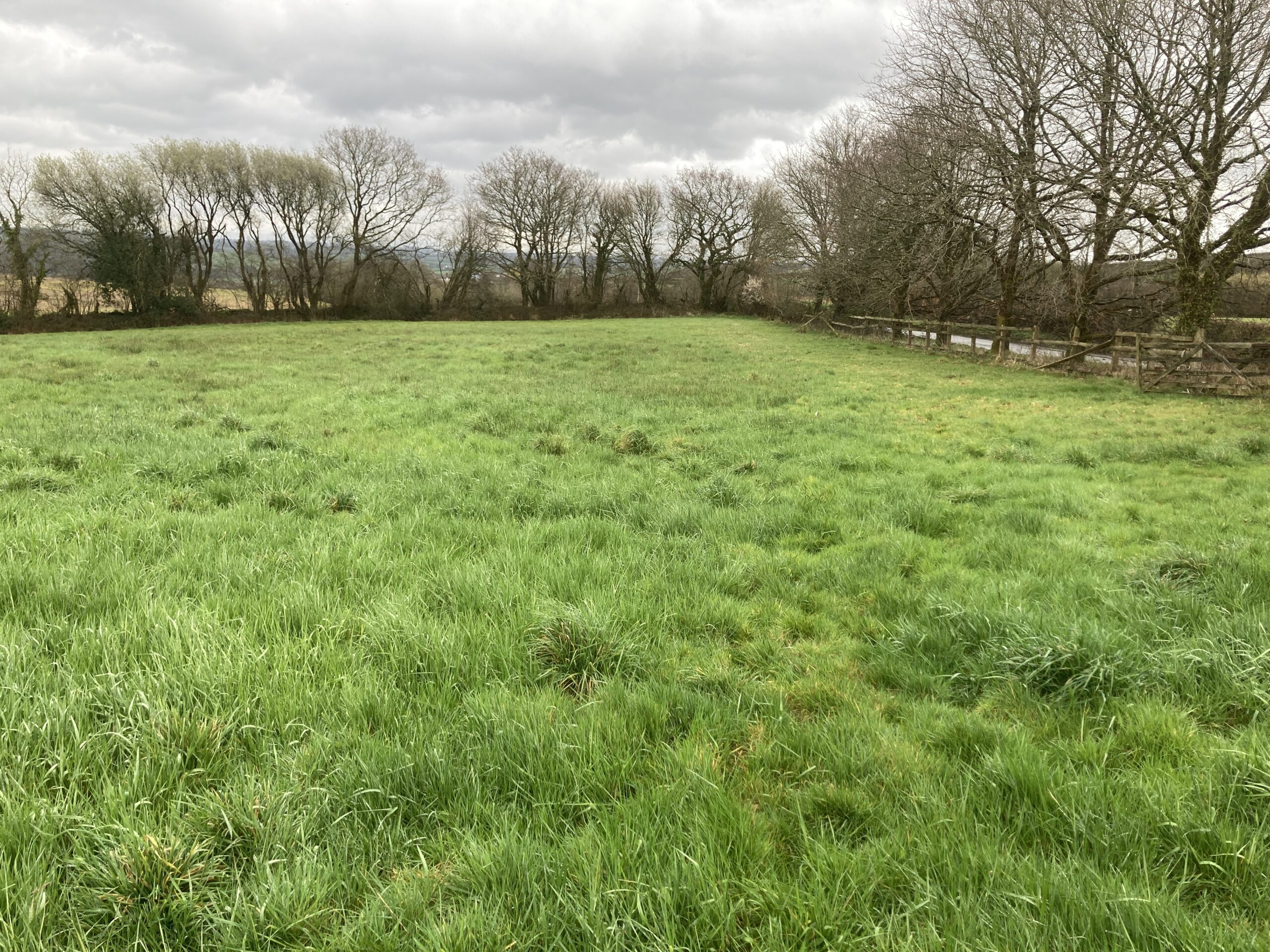 AN ATTRACTIVE 0.9 ACRE PASTURE PADDOCK WITH ROAD ACCESS AND A STREAM ...