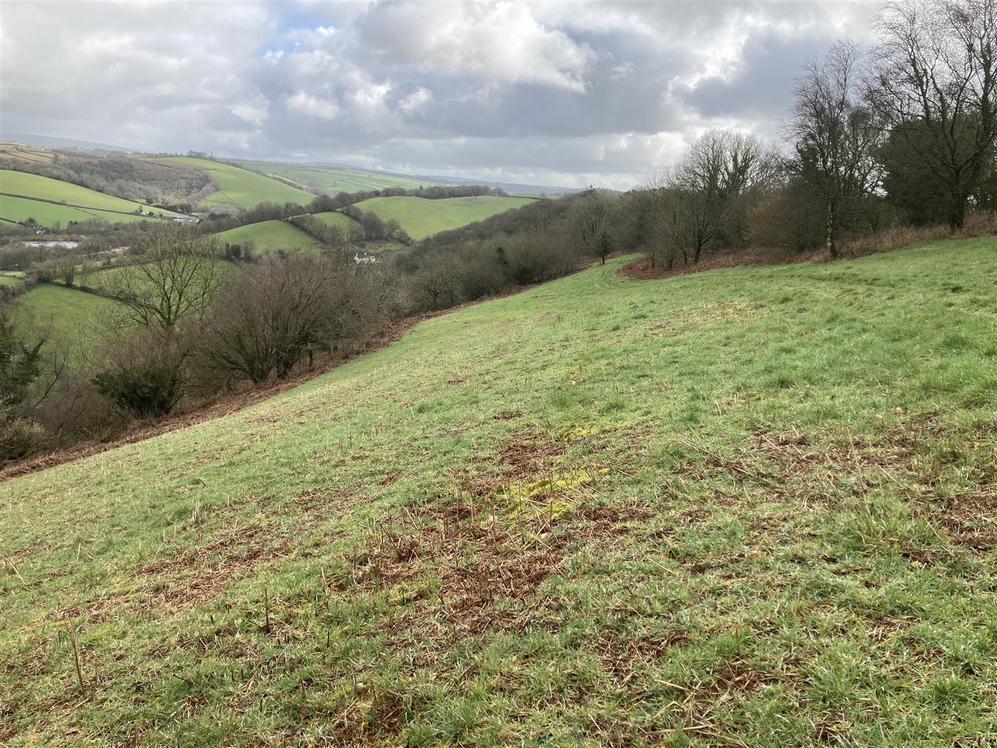 A BLOCK OF 12.5 ACRES MAINLY NATURALLY REGENERATED WOODLAND INCLUDING 3 ...