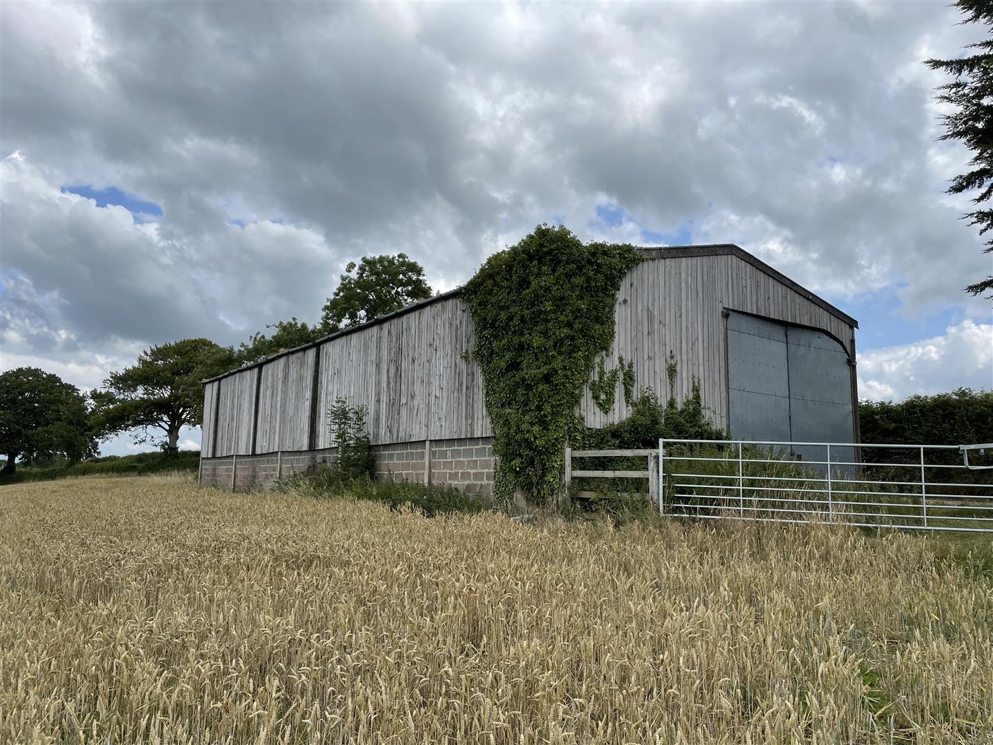 ON BEHALF OF THE EXECUTORS A 21M BY 9M (2000 ft2) CONCRETE FRAMED ...