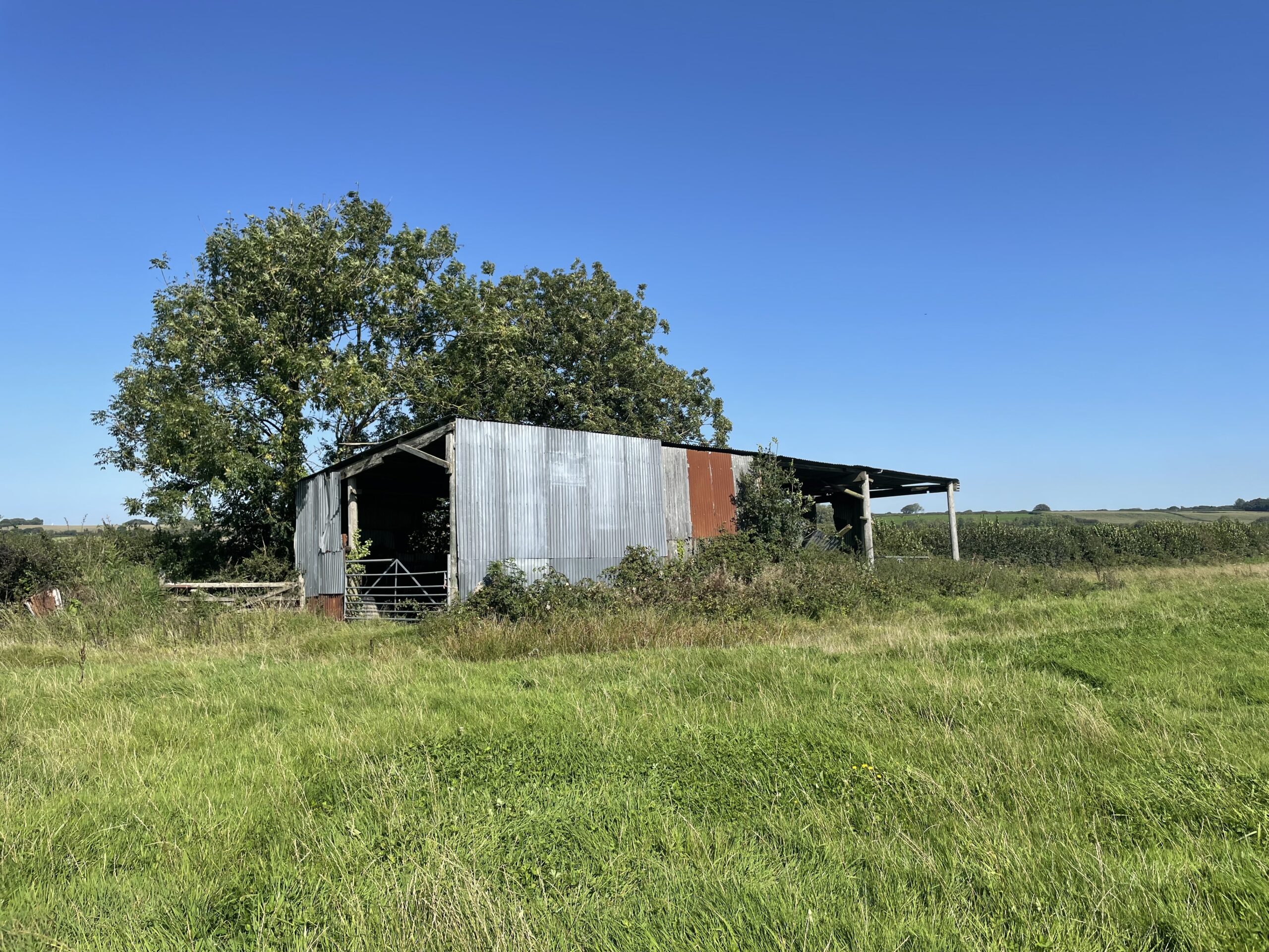 46.5 ACRES OF LEVEL AGRICULTURAL PASTURE LAND ALONG A QUIET PRIVATE ...