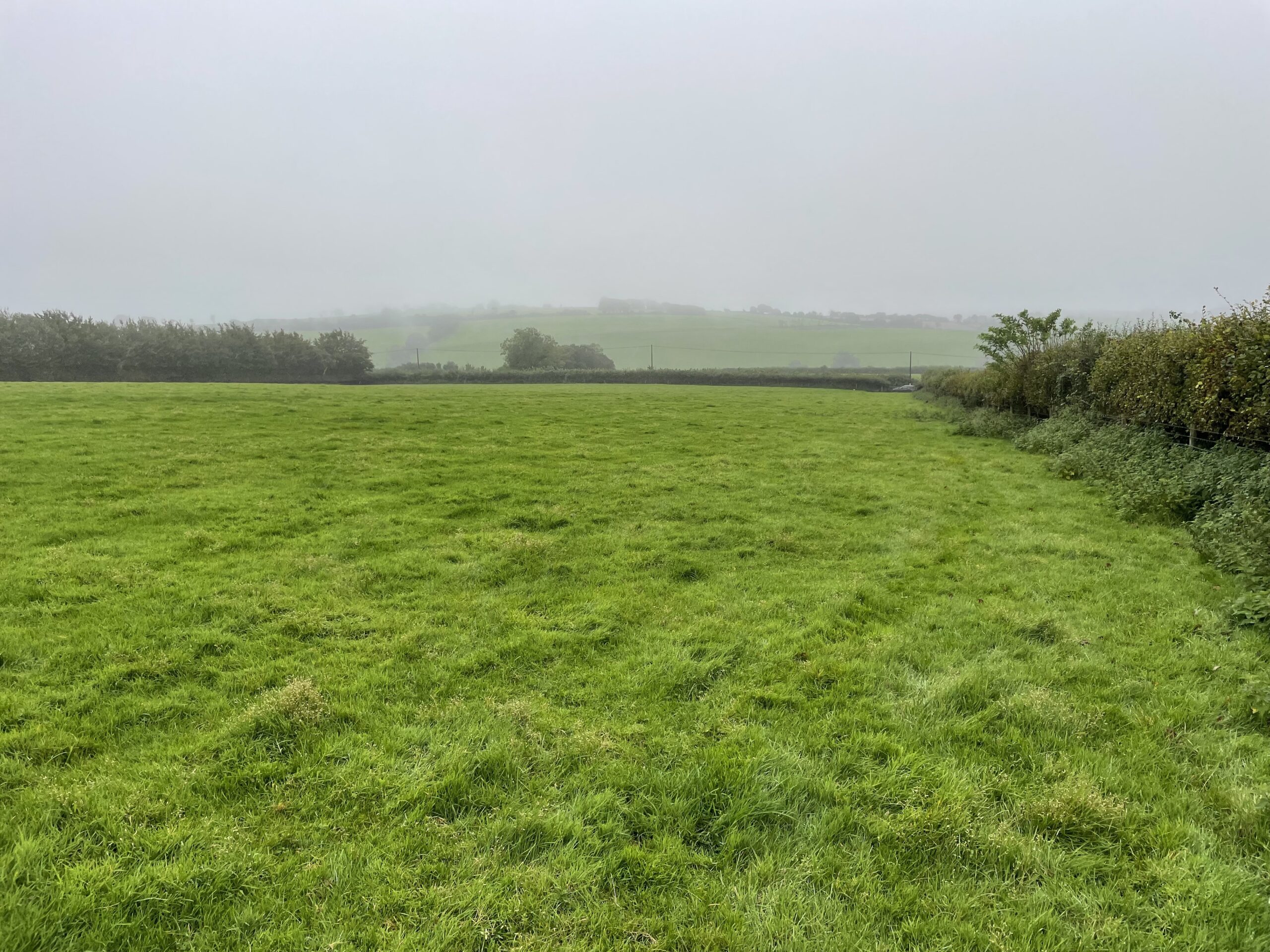 A 33 ACRE BLOCK OF SOUTH FACING PASTURE SUBDIVIDED INTO FOUR ENCLOSURES ...