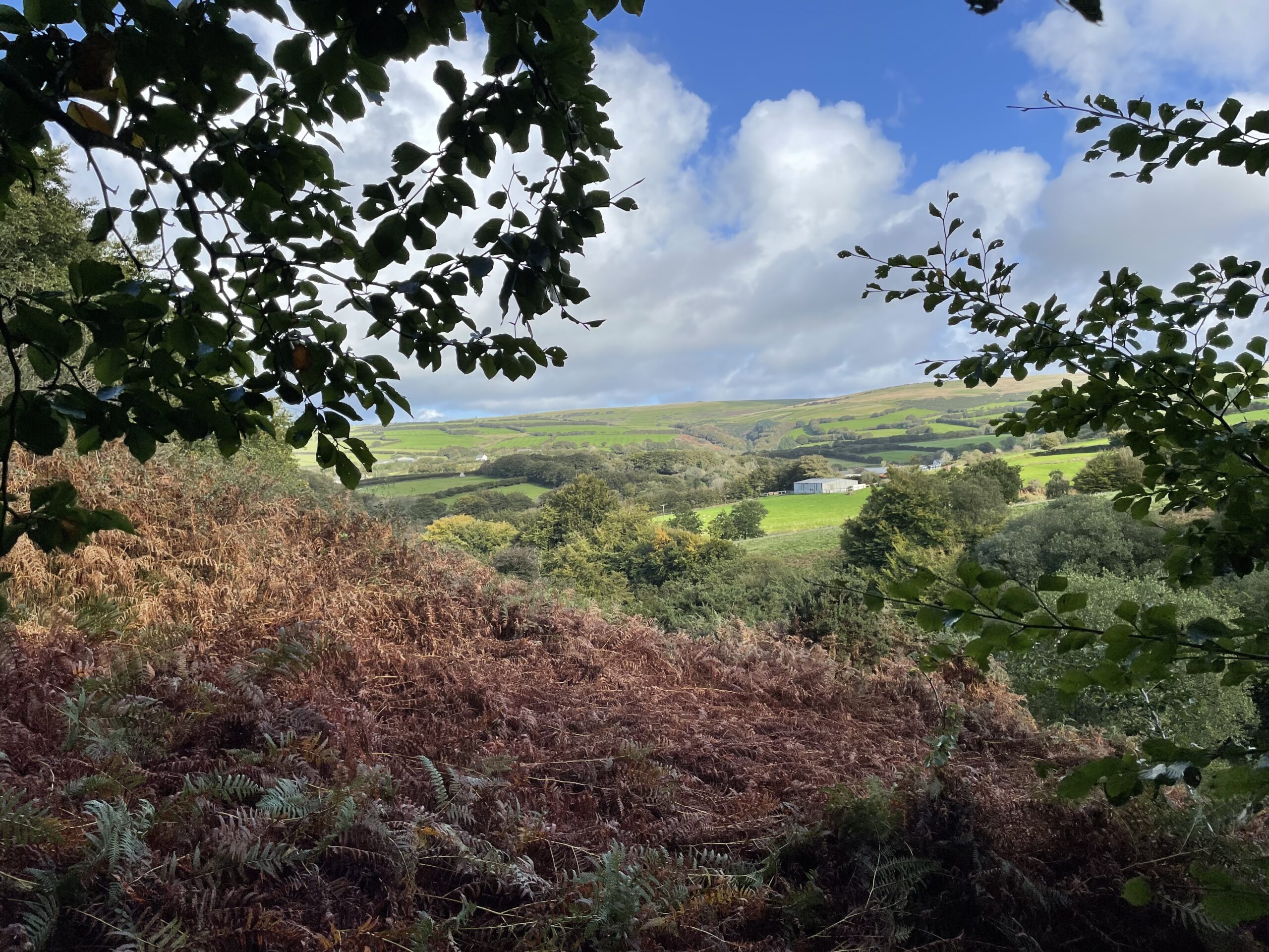 SITUATED OFF A COUNCIL ROAD NEAR CHALLACOMBE WITHIN THE EXMOOR NATIONAL ...