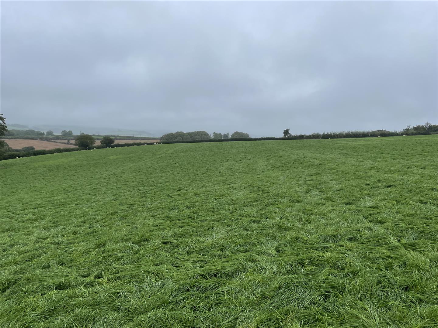 A RARE OPPORTUNITY TO PURCHASE A BLOCK OF JUST UNDER 17 ACRES OF ARABLE ...