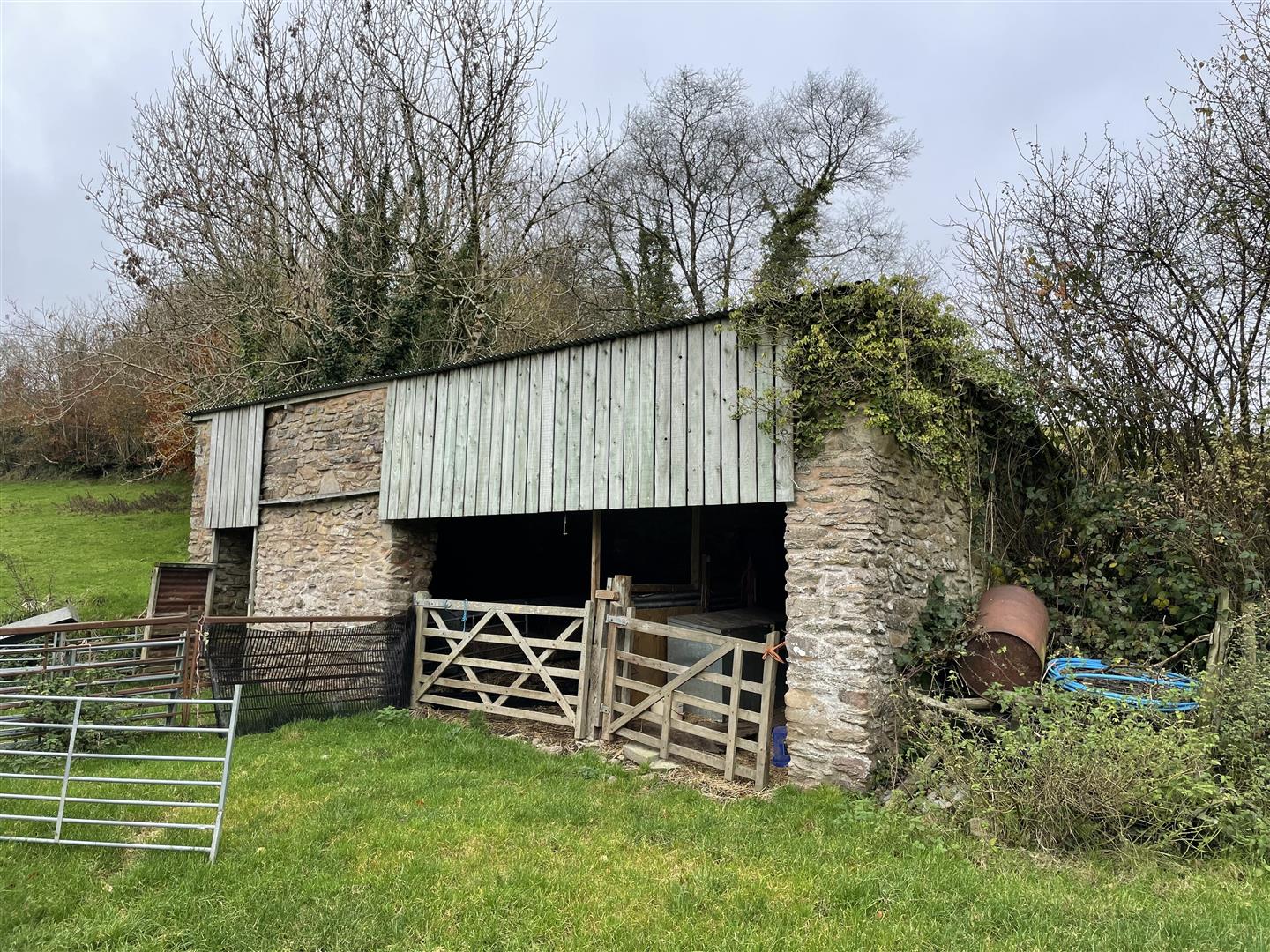 A LEVEL 3 ACRE PASTURE PADDOCK SUBDIVIDED INTO TWO ENCLOSURES WITH THE ...