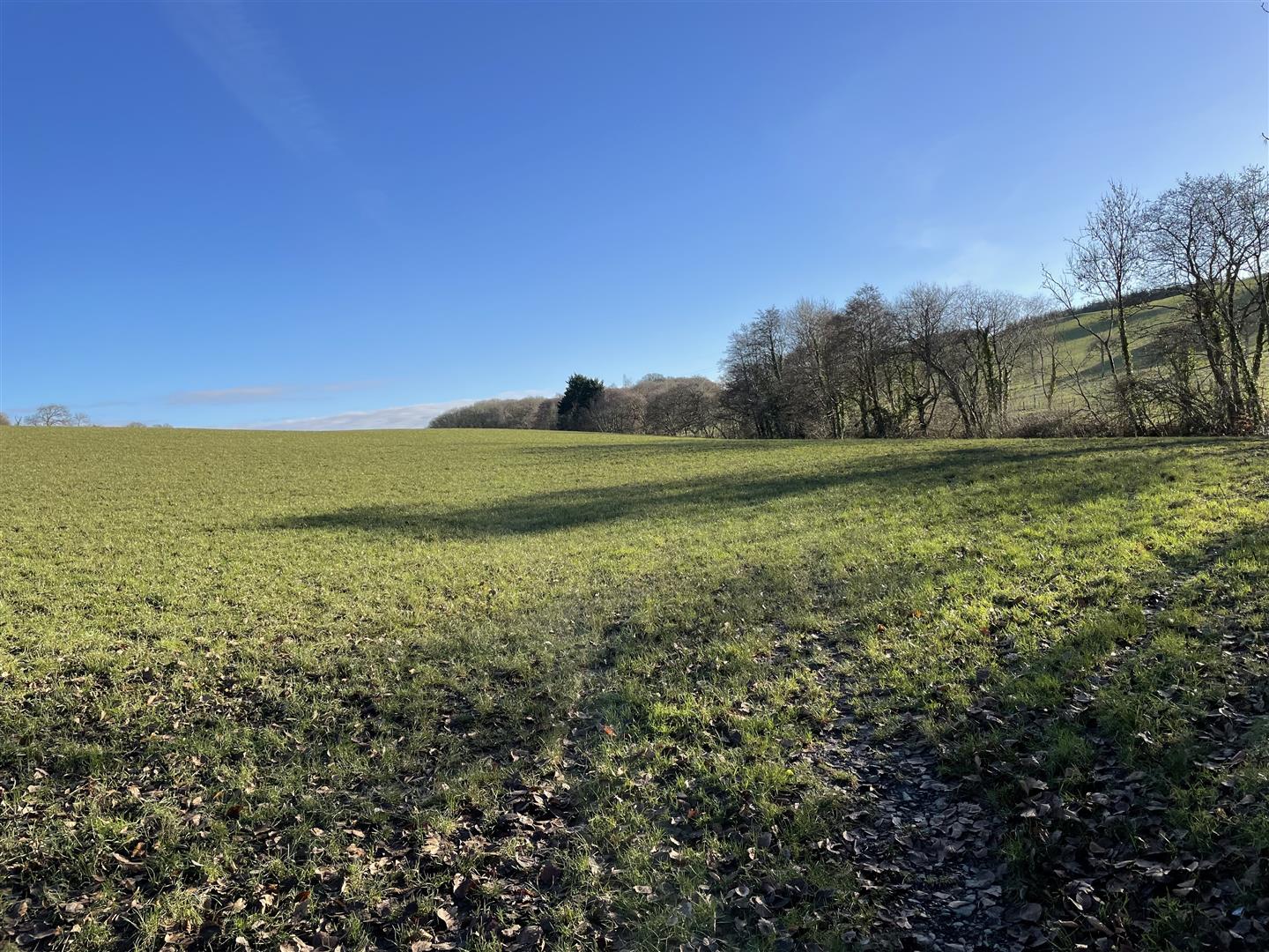 A 24.6 ACRE BLOCK OF ARABLE AND PASTURE LAND SET SOUTH FACING IN THE ...