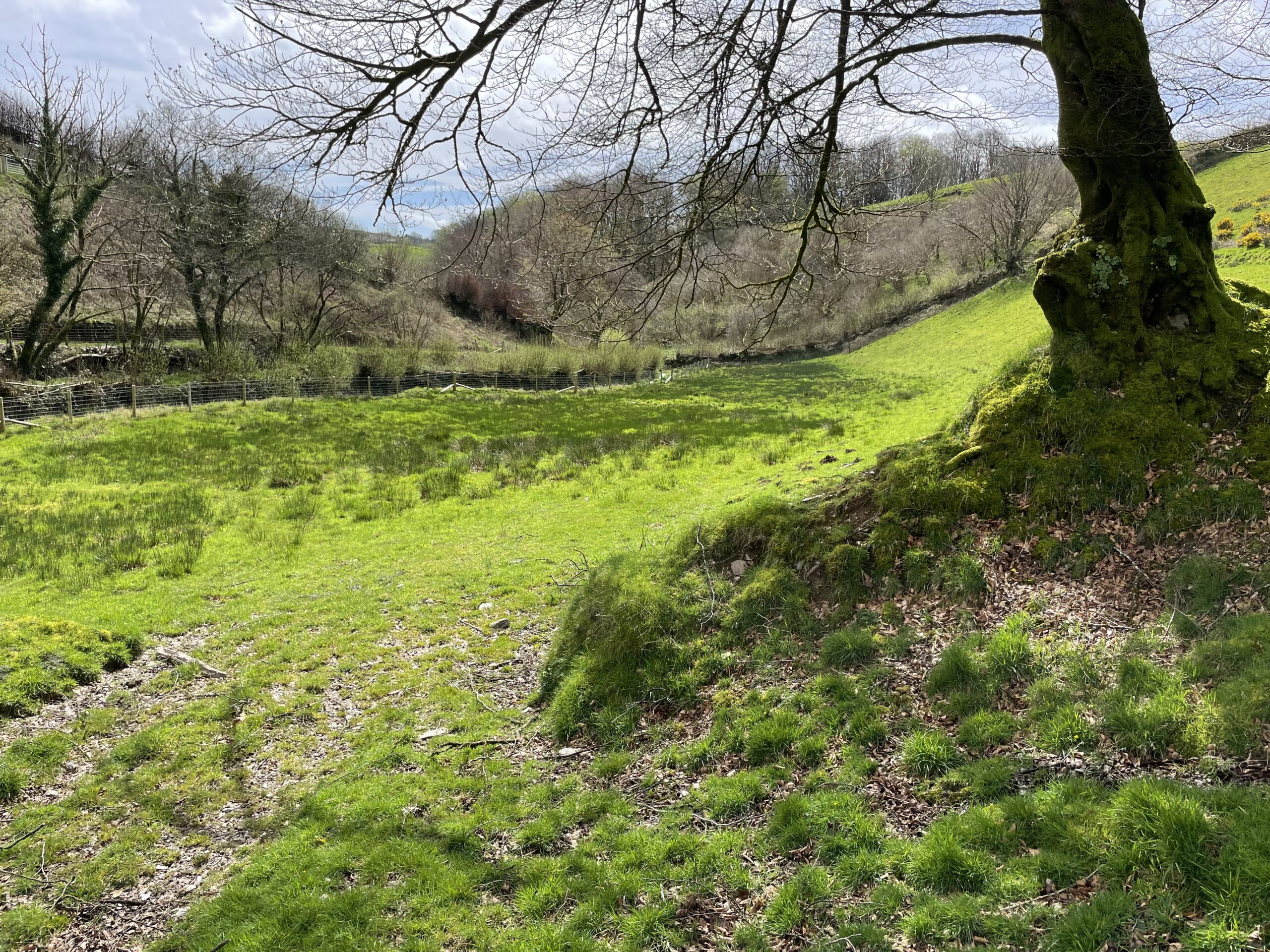 SITUATED INSIDE THE EXMOOR NATIONAL PARK NEAR CHALLACOMBE THIS IS A 13 ...