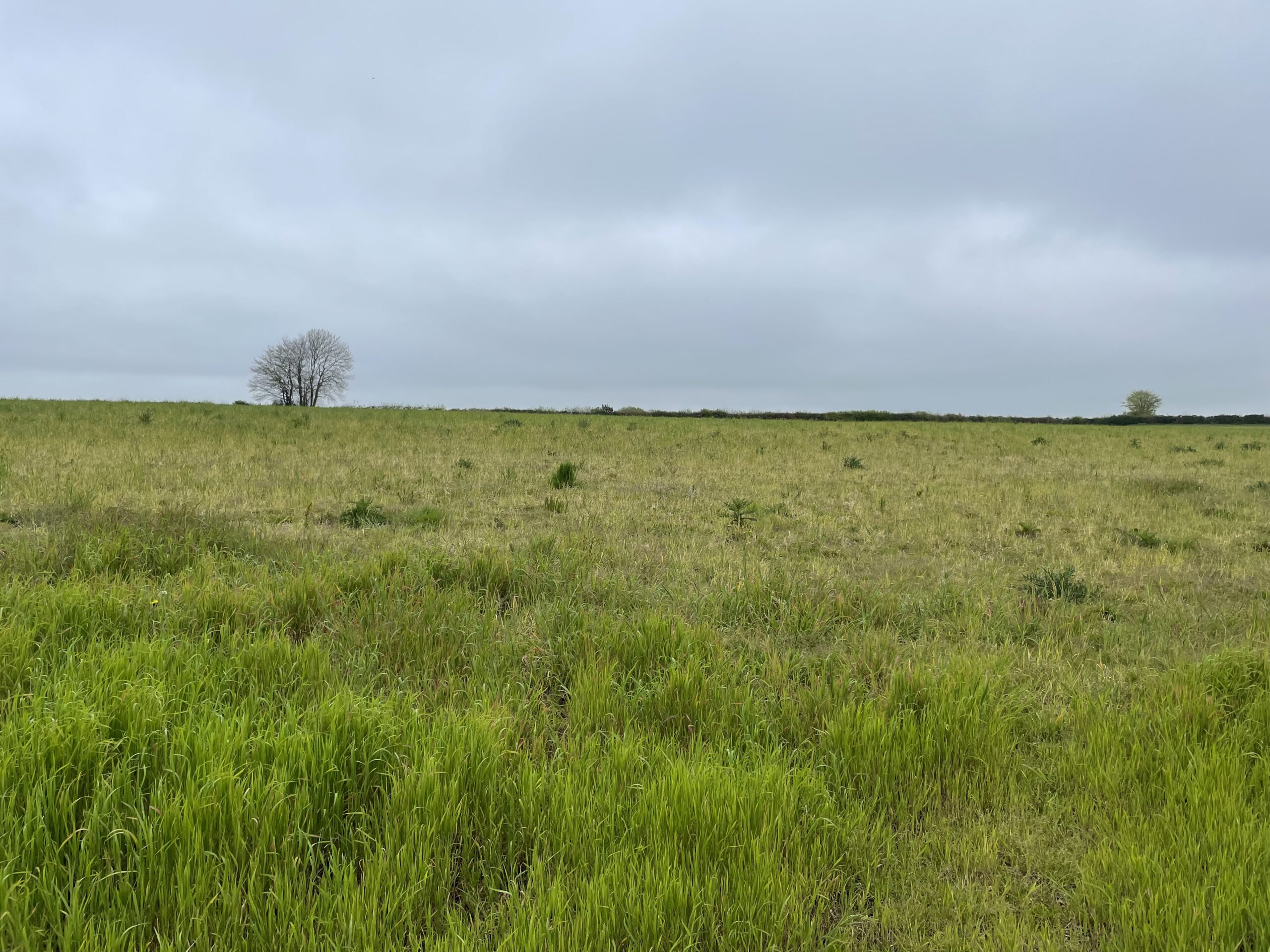 A SOUTH FACING BLOCK OF 31.33 ACRES OF ARABLE LAND SITUATED NR BEAFORD ...