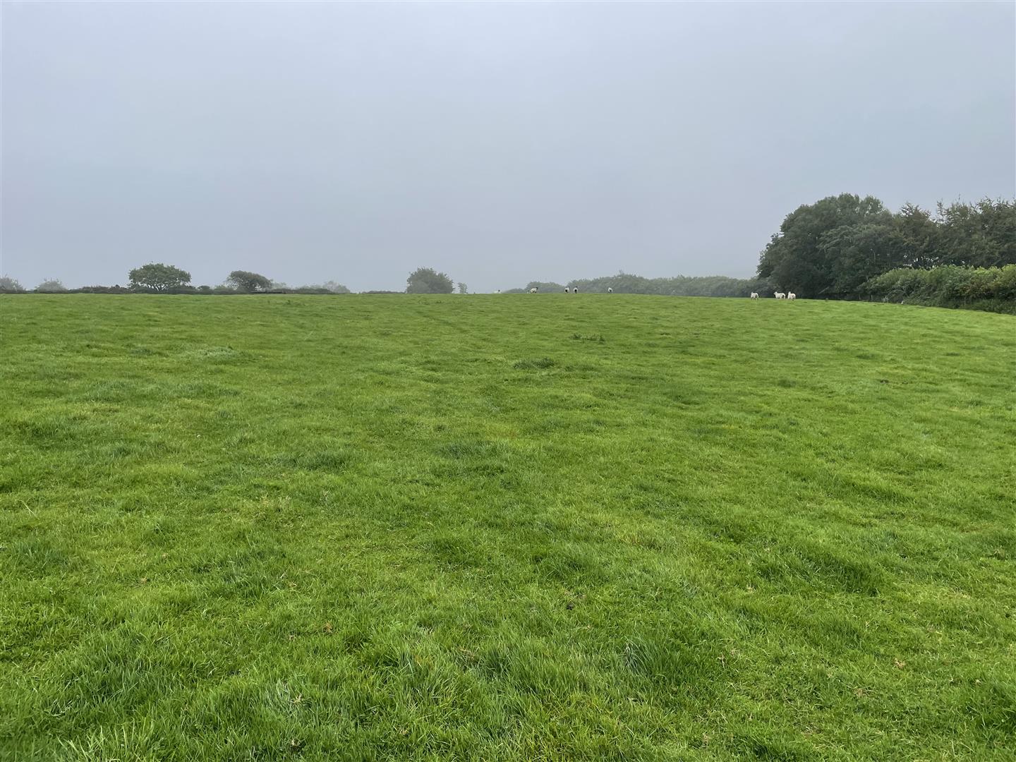 A 33 ACRE BLOCK OF SOUTH FACING PASTURE SUBDIVIDED INTO FOUR ENCLOSURES ...