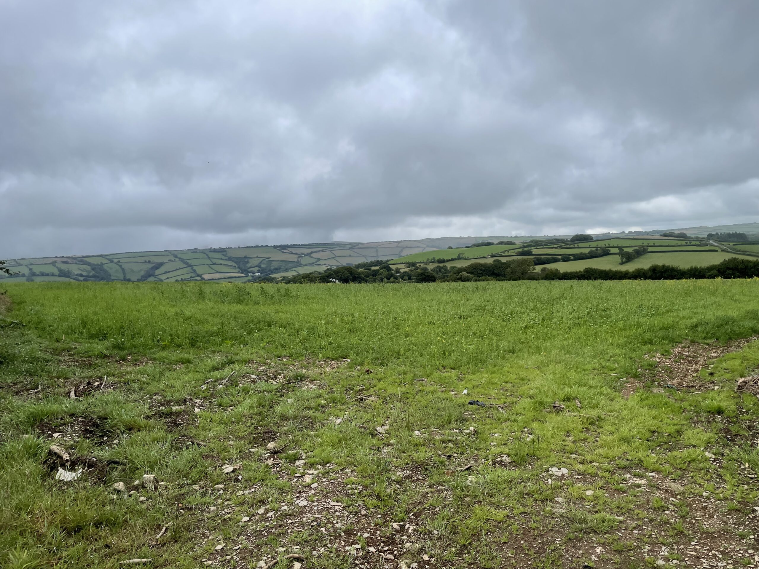 A 7 ACRE LEVEL OR GENTLY SLOPING SINGLE ENCLOSURE SITUATED BETWEEN ...