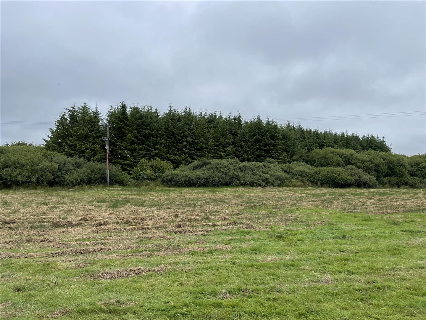 SITUATED ADJACENT TO MULLACOTT CROSS IN NORTH DEVON THIS IS A 5.98 ACRE ...