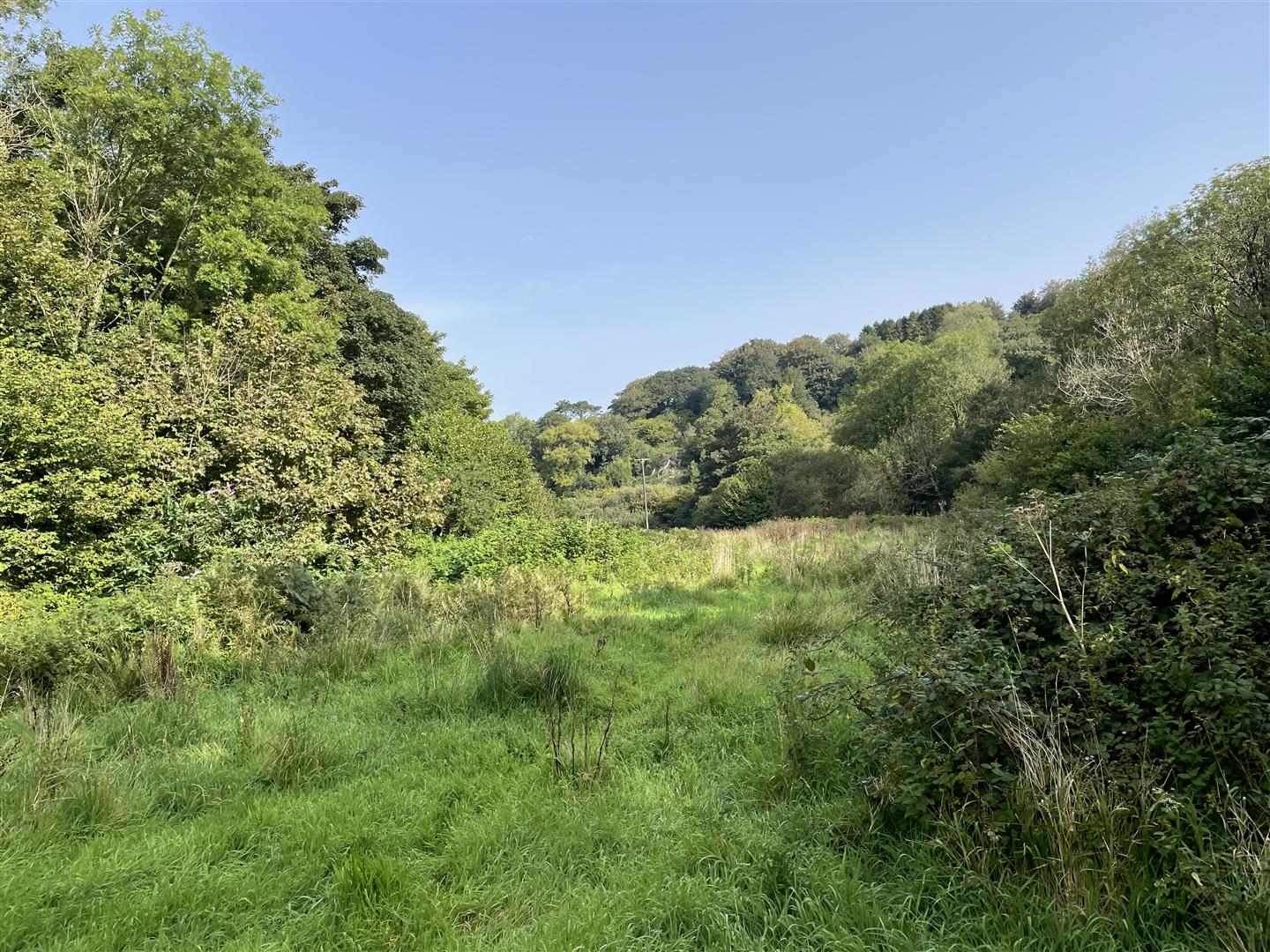 SET IN A PEACEFUL WOODED VALLEY SERVED BY A QUIET COUNCIL LANE THIS IS ...