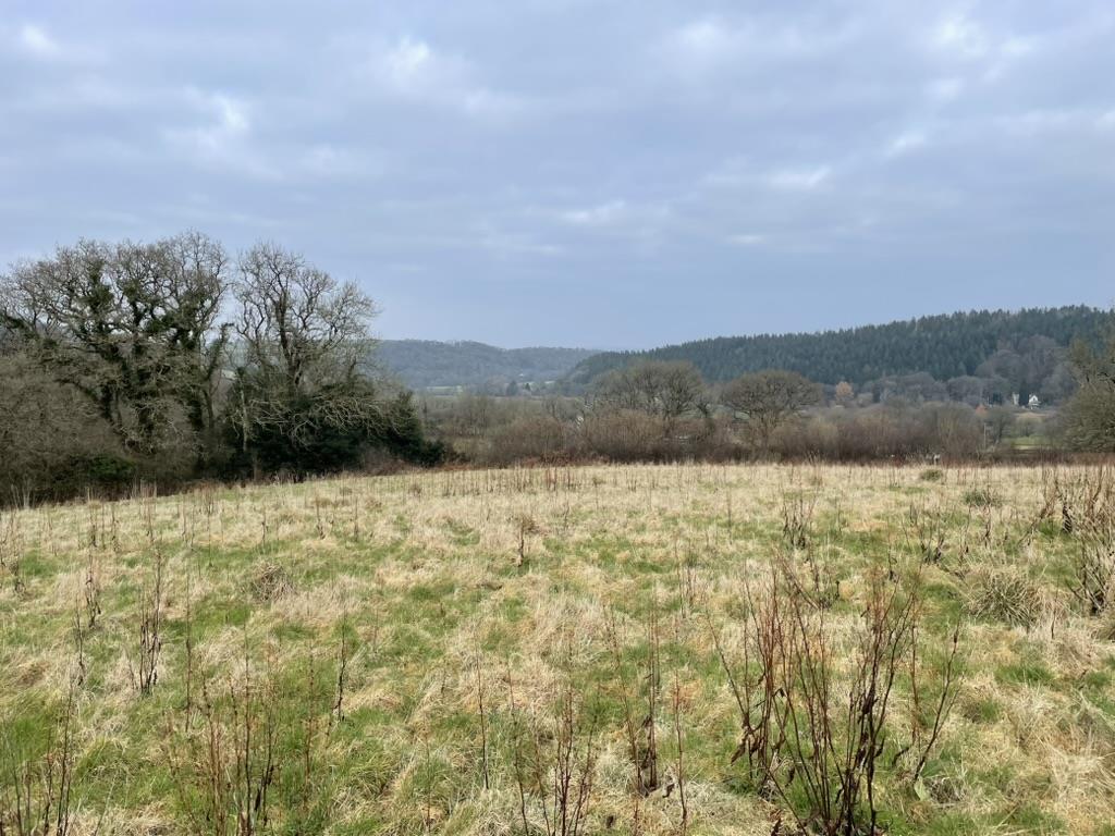 A 14.71 ACRES BLOCK OF PASTURE AND WOODLAND SET IN THE TAW VALLEY WITH ...