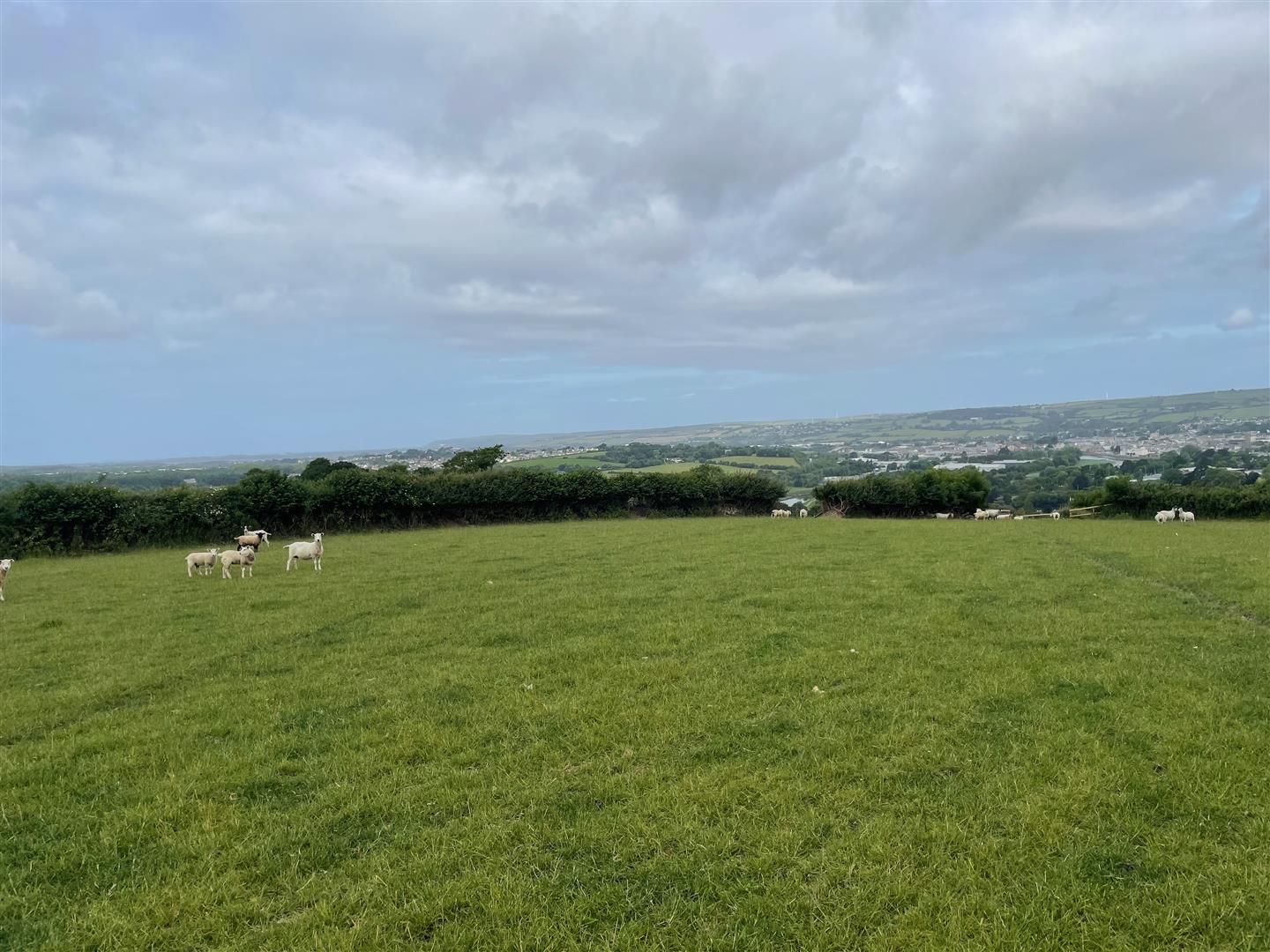 THE 4.5Ac of PASTURE LAND IS SITUATED WITH ACCESS IN FROM WHITEFIELD ...