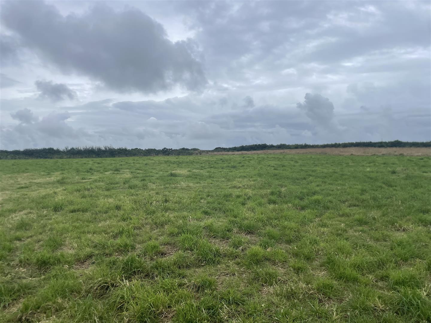 A RARE OPPORTUNITY TO CONSTRUCT A SINGLE STOREY 166 m2 3/4 BED DETACHED ...