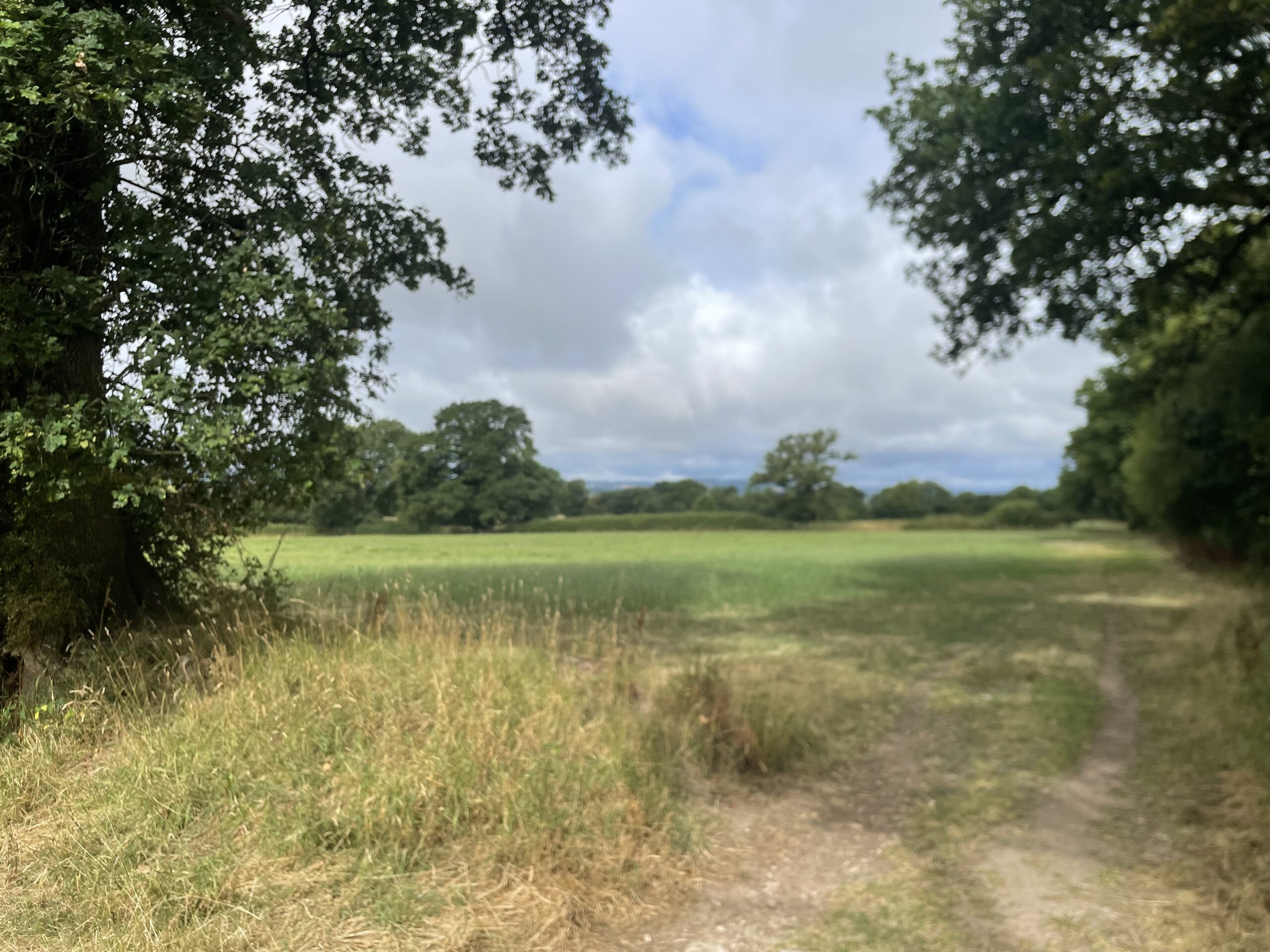 15.85 acres of level agricultural land Nr Kentisbeare formed by three ...