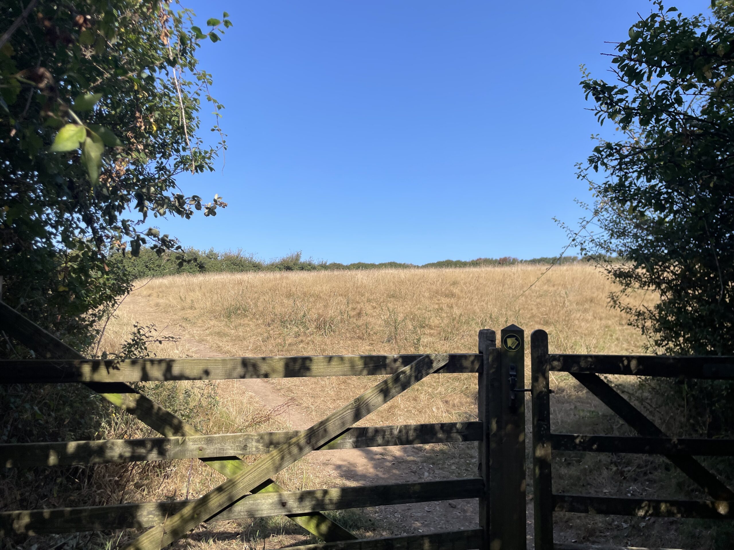 2.4 EST ACRES OF SOUTH FACING GENTLY SLOPING AGRICULTURAL PASTURE LAND ...