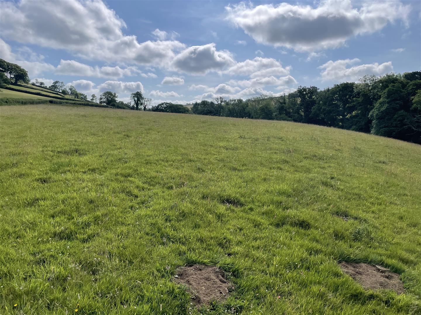 A WELL LOCATED GOOD SIZED BLOCK OF 50.84 ACRES OF PASTURE WITH NATURAL ...