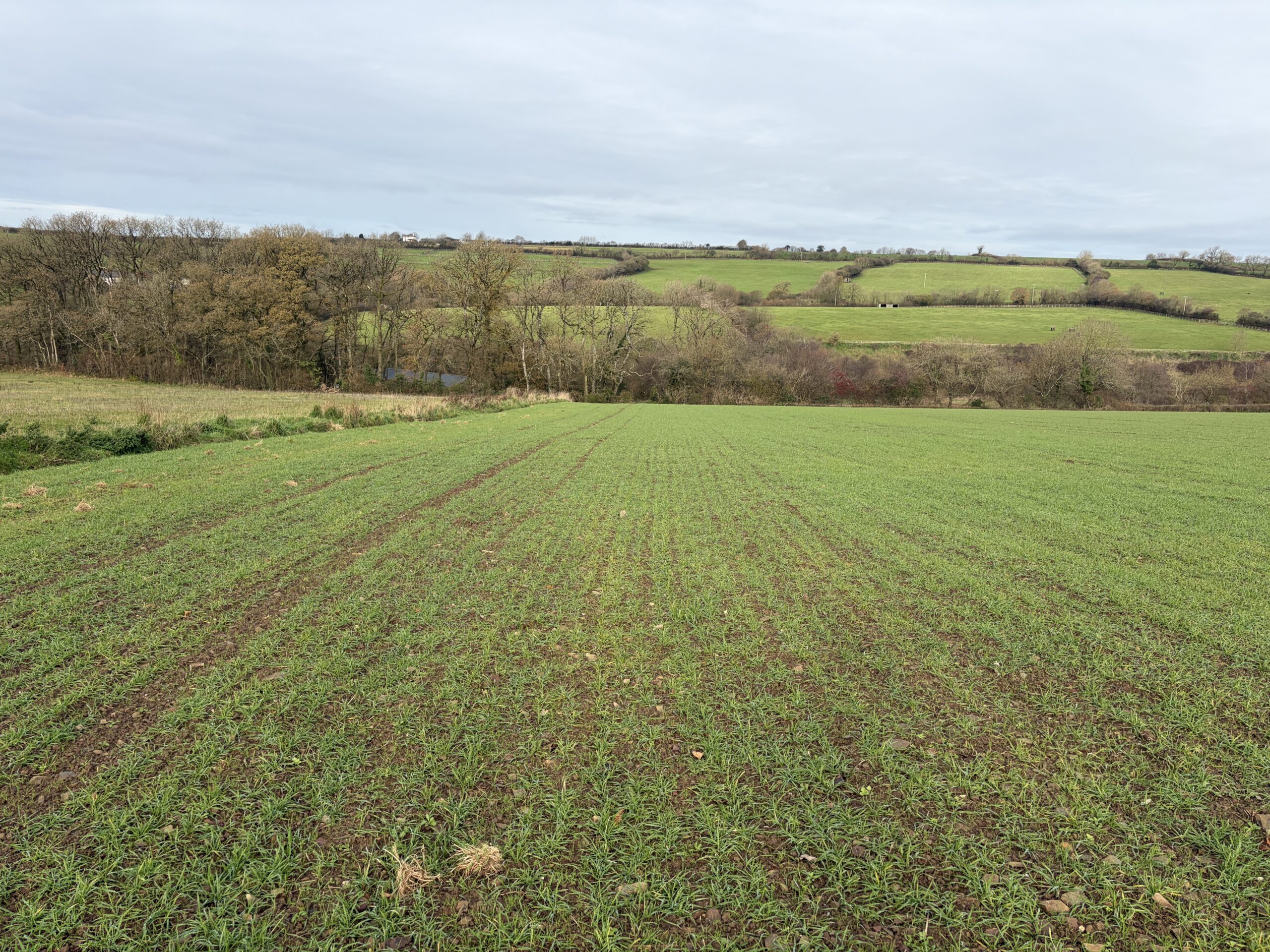 A ROADSIDE BLOCK OF 13 ACRES MAINLY ARABLE LAND BEING LEVEL OR GENTLY ...